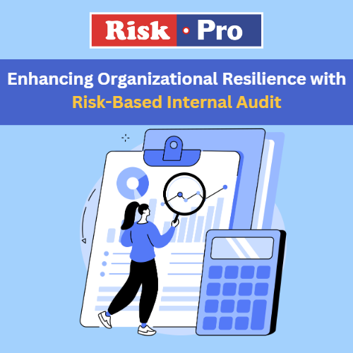 Enhancing Organizational Resilience with Risk-Based Internal Audit | Riskpro India - Connect ...
